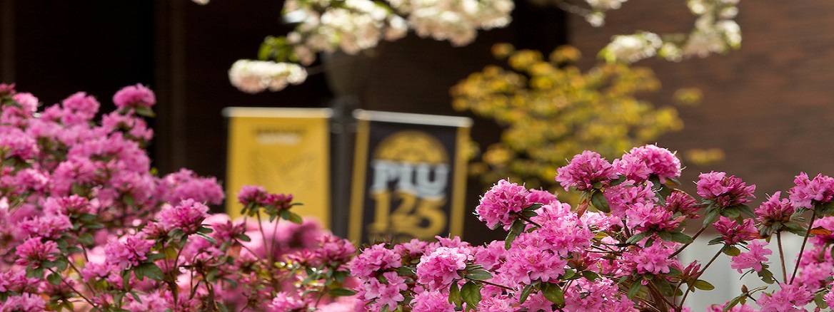 PLU Graduate Programs Week | Admission | PLU