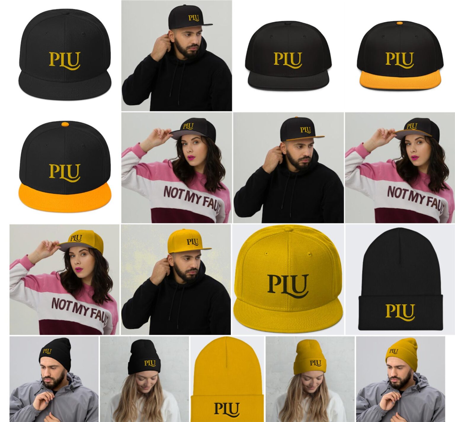 Branding Guidelines – Telling the PLU story in one consistent voice, so ...