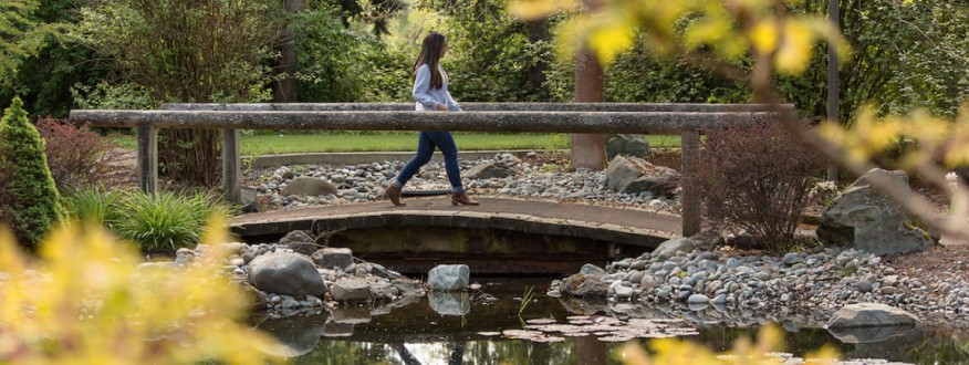 Counseling | Counseling, Health & Wellness Services | PLU