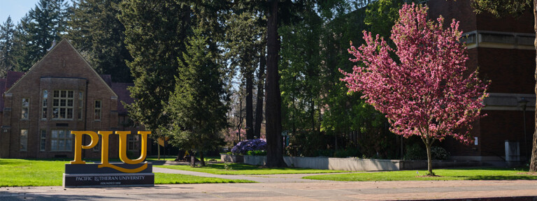 Enrollment Management | PLU