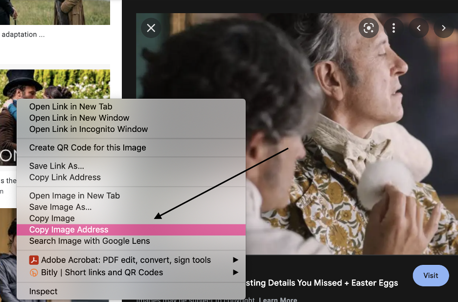 How to Annotate | The Jane Austen Review | PLU