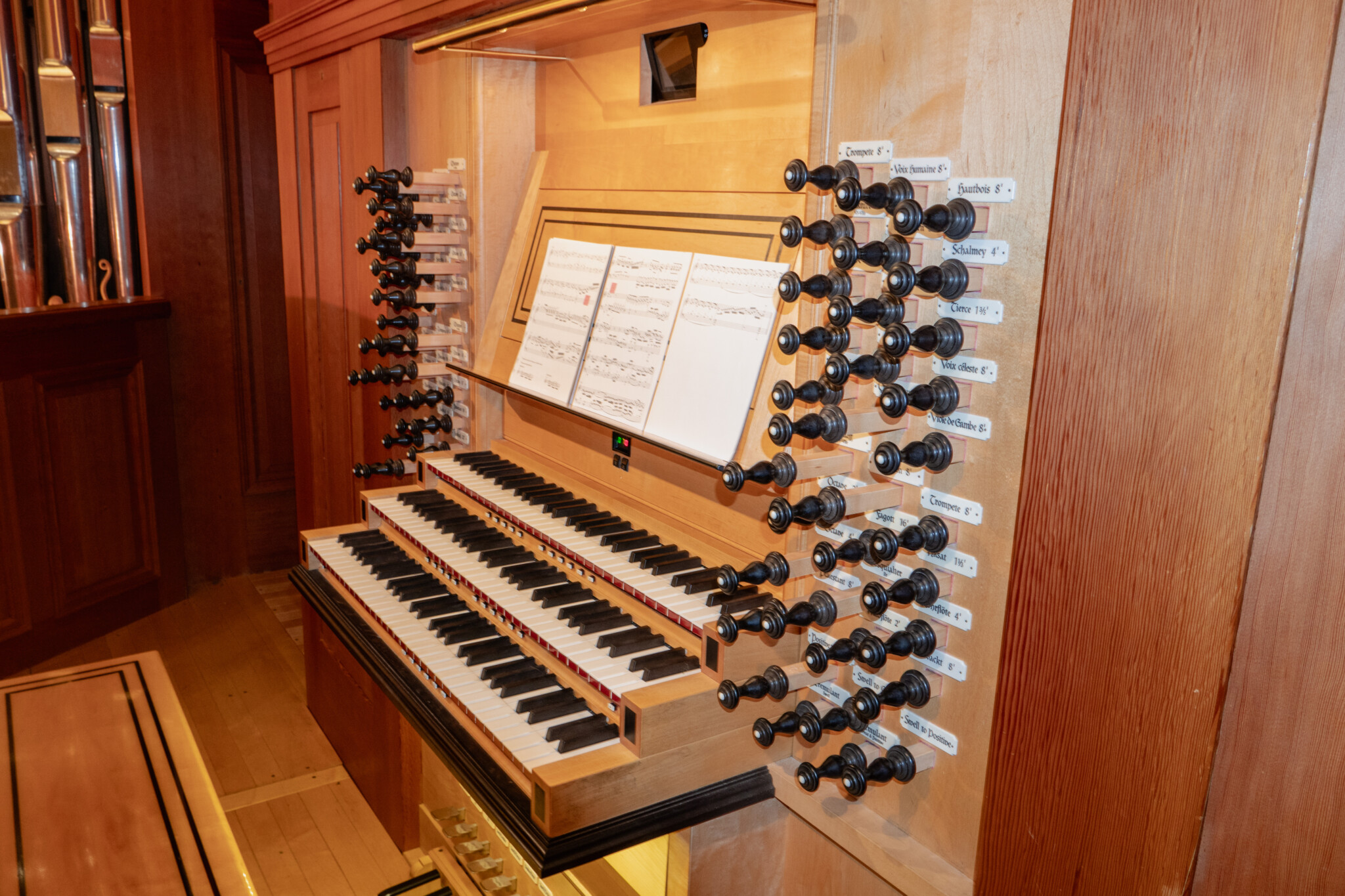 Organ Study at PLU | Organ Study | PLU