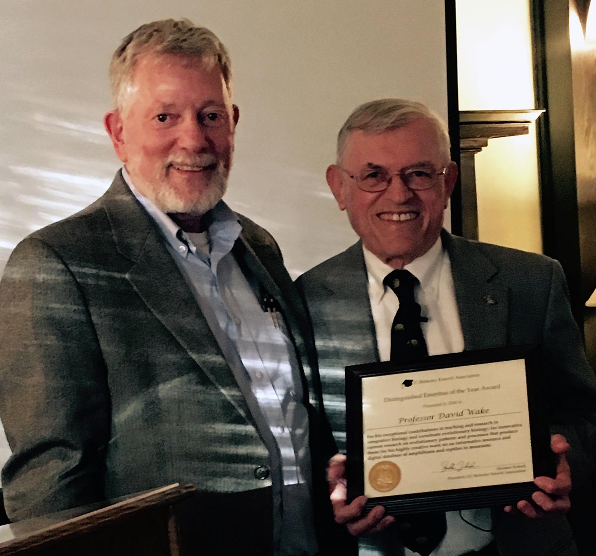 David Wake – Resolute Online: Spring 2017