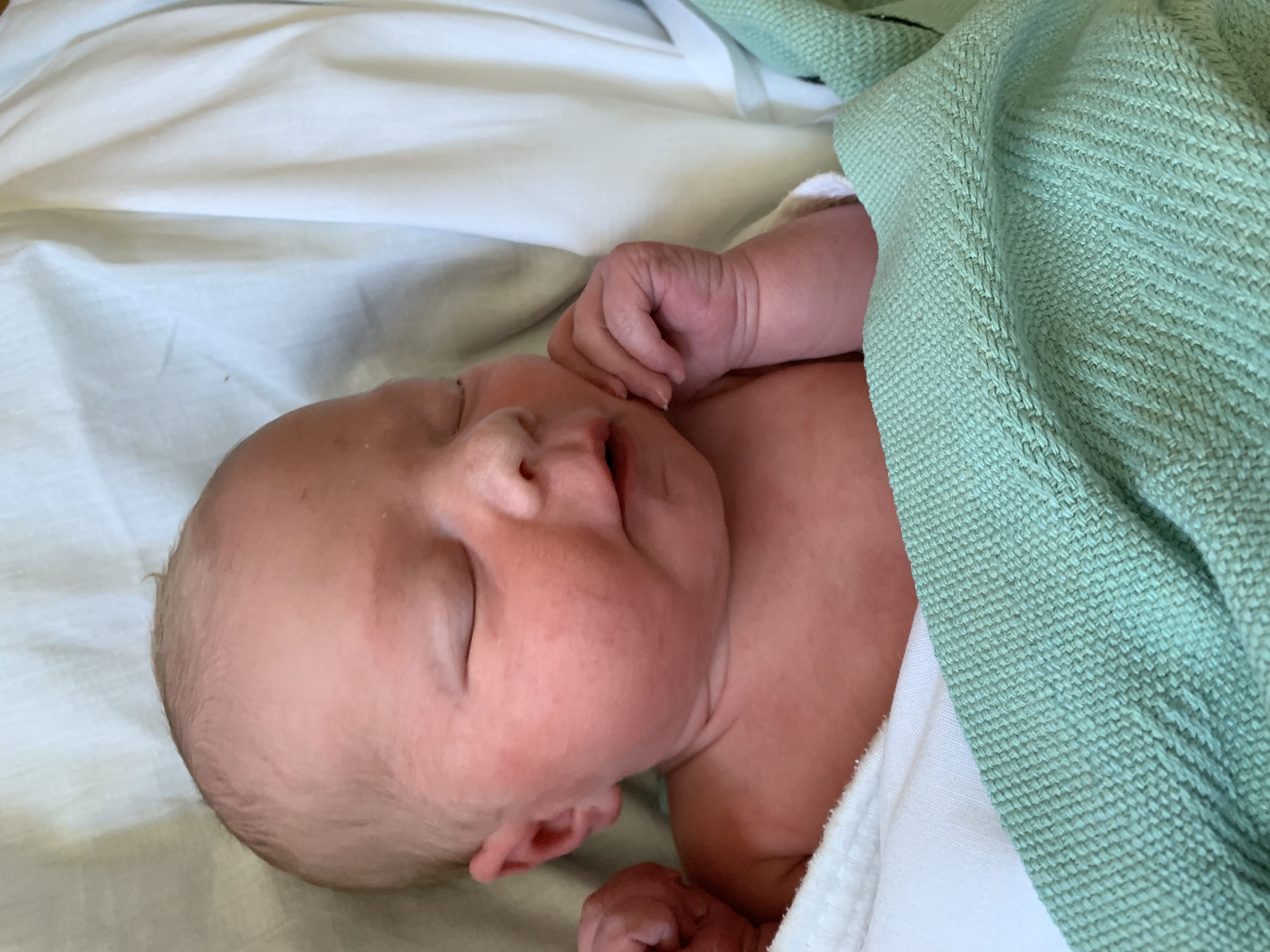 Future Lute – Audrey (North) Thornburg – Resolute Online: Spring 2019