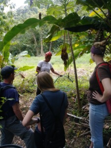 J-Term | Study Away | PLU