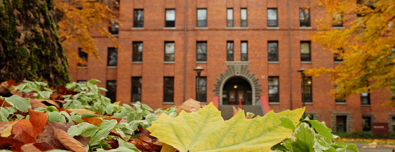 Homecoming banner | PLU | PLU